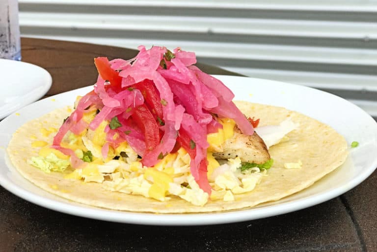 Flying Iguana: Date Night Jacksonville Beach - Jacksonville Beach Moms