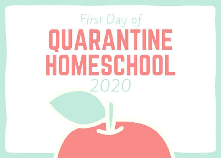 Quarantine Homeschool Signs you can print at home!