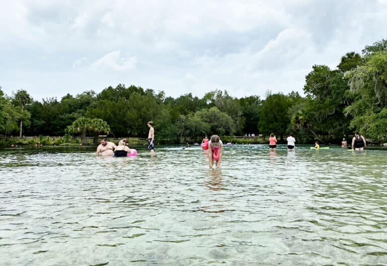 Silver Glen Springs: 5 Reasons Your Family Should Visit - Jacksonville ...