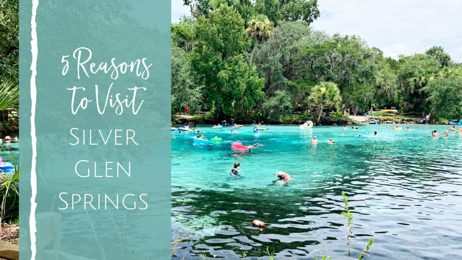 Silver Glen Springs: 5 Reasons Your Family Should Visit - Jacksonville ...