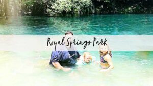Royal Springs Day Trip - Jacksonville Beach Moms