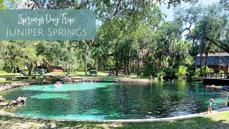 Juniper Springs: Florida Springs Day Trip - Jacksonville Beach Moms