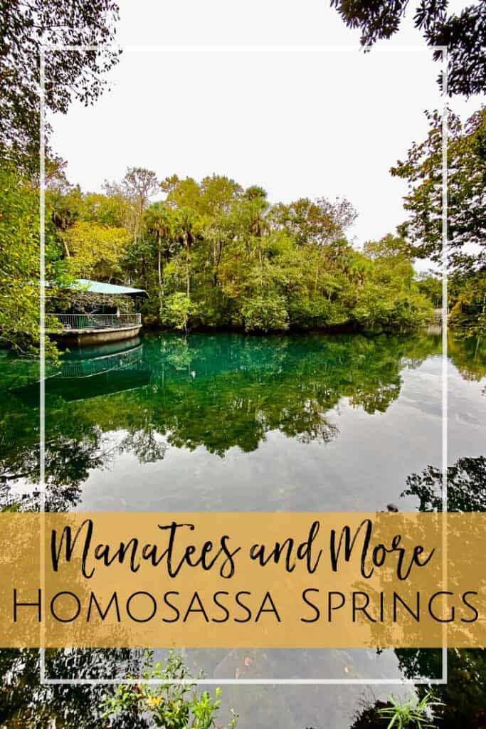 Homosassa Springs: Florida State Park - Jacksonville Beach Moms