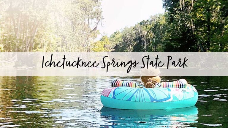 Ichetucknee Springs State Park: Family Guide to Tubing - Jacksonville ...