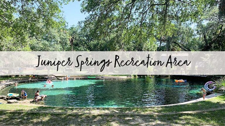 Juniper Springs: Florida Springs Day Trip - Jacksonville Beach Moms