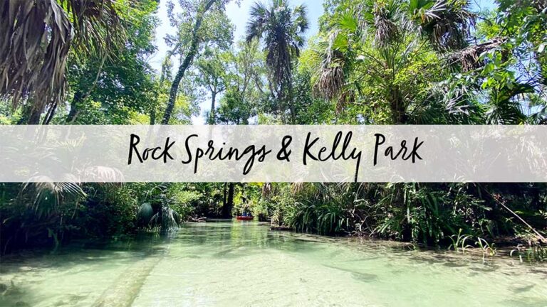 Kayaking Rock Springs Kelly Park - Jacksonville Beach Moms