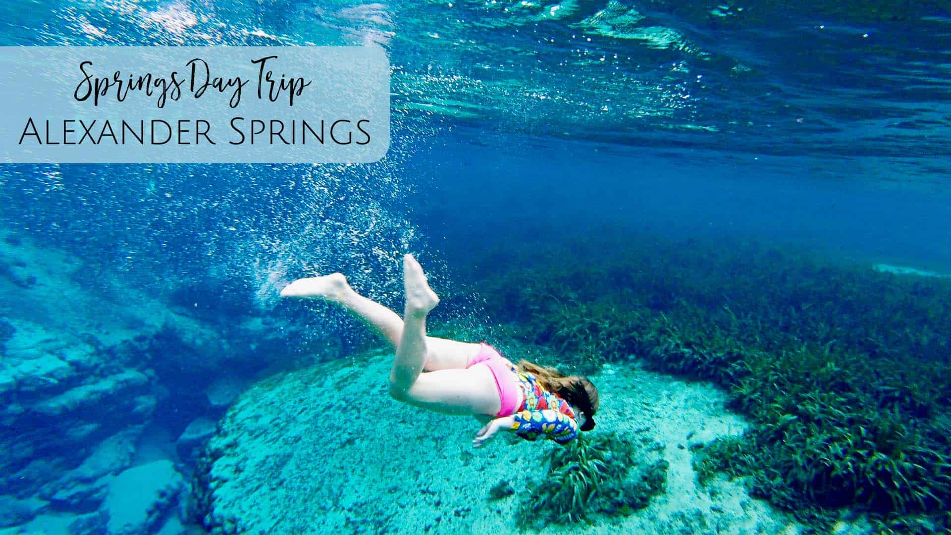 Alexander Springs: Florida Springs Day Trip - Jacksonville Beach Moms