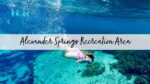 Alexander Springs: Florida Springs Day Trip - Jacksonville Beach Moms