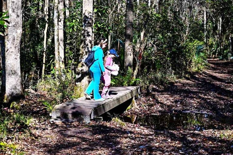 Guide to UNF Hiking Trails - Jacksonville Beach Moms