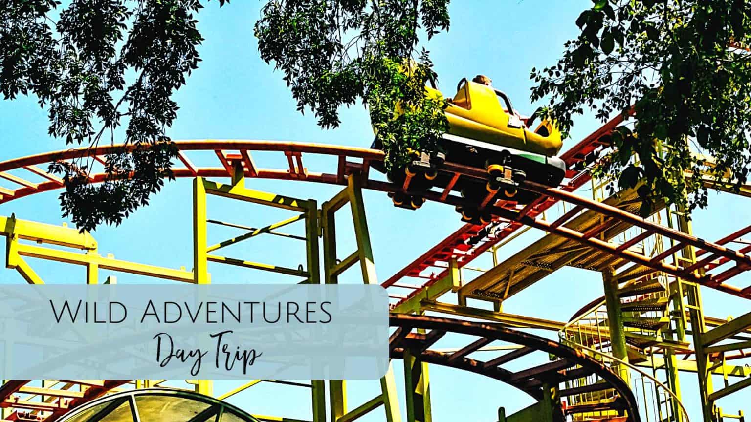Wild Adventures Valdosta: Day Trip from Jacksonville - Jacksonville ...