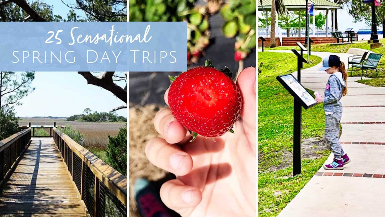 25 Sensational Spring Day Trips from Jacksonville - Jacksonville Beach Moms