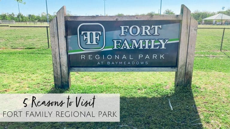 5 Reasons to Visit Fort Family Regional Park in Jacksonville ...