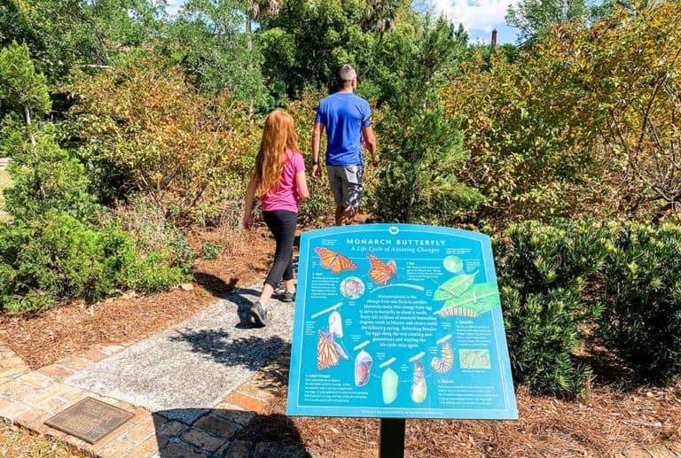 Landon Park: A San Marco Favorite - Jacksonville Beach Moms