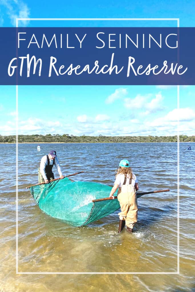 Seining at GTM Research Reserve - Jacksonville Beach Moms