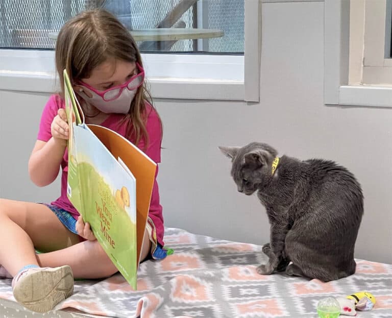 Jacksonville Humane Society: 5 Ways for Families to Get Involved ...