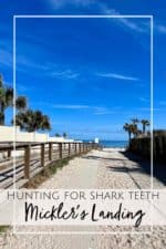 Mickler's Landing Beach - Jacksonville Beach Moms