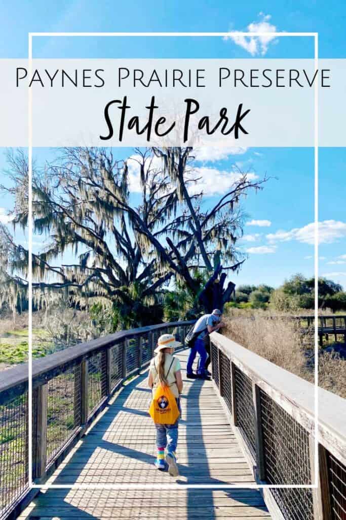 Best Time To Visit Paynes Prairie Preserve State Park - State Parks