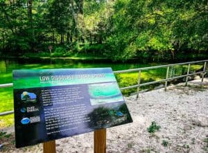 Poe Springs County Park - Jacksonville Beach Moms
