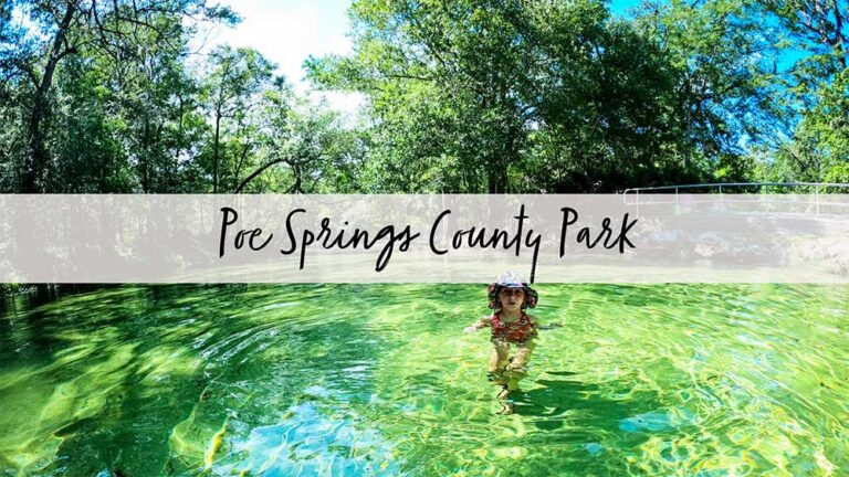 Poe Springs County Park - Jacksonville Beach Moms