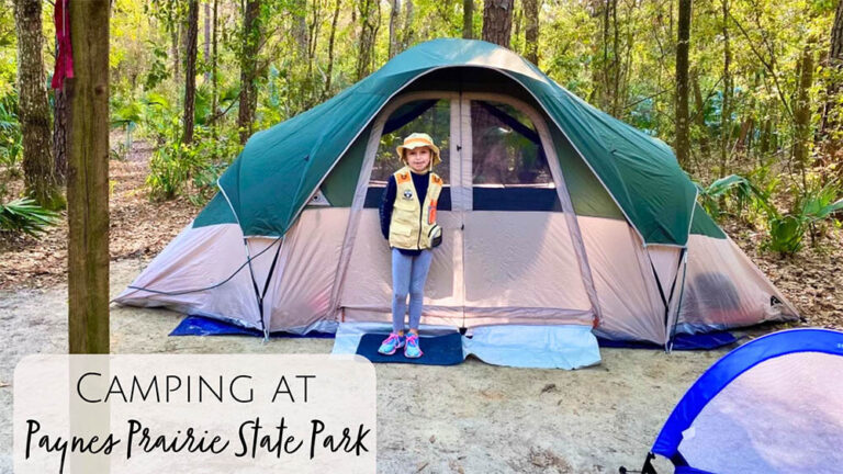 Camping at Paynes Prairie Preserve State Park - Jacksonville Beach Moms