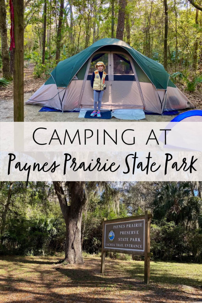 Camping at Paynes Prairie Preserve State Park - Jacksonville Beach Moms