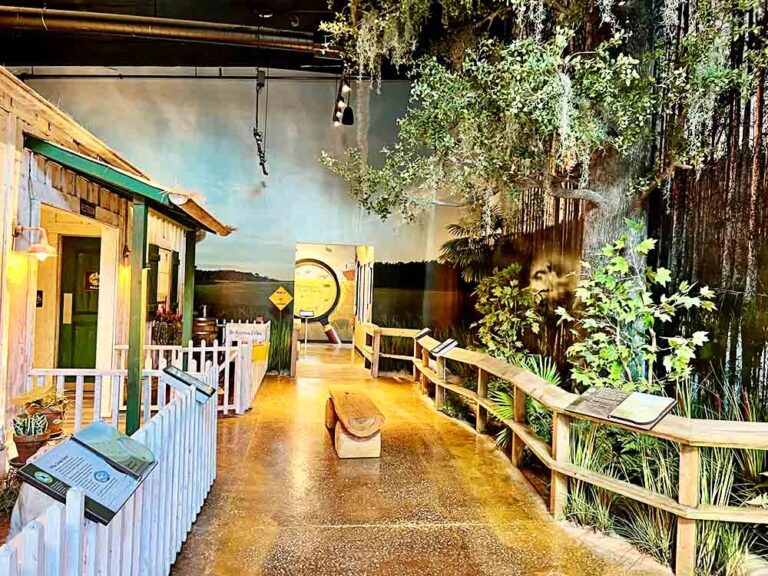 Anastasia Mosquito Education Center - Jacksonville Beach Moms