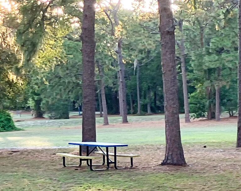 Ed Austin Regional Park: A Family-Friendly Gem - Jacksonville Beach Moms