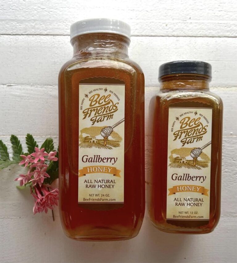 2024 Jacksonville Gift Guide - Jacksonville Beach Moms